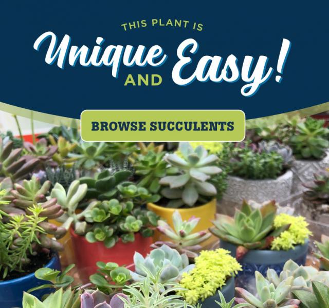Niemeyer's Landscape Supply | Northwest Indiana | Unilock Dealer