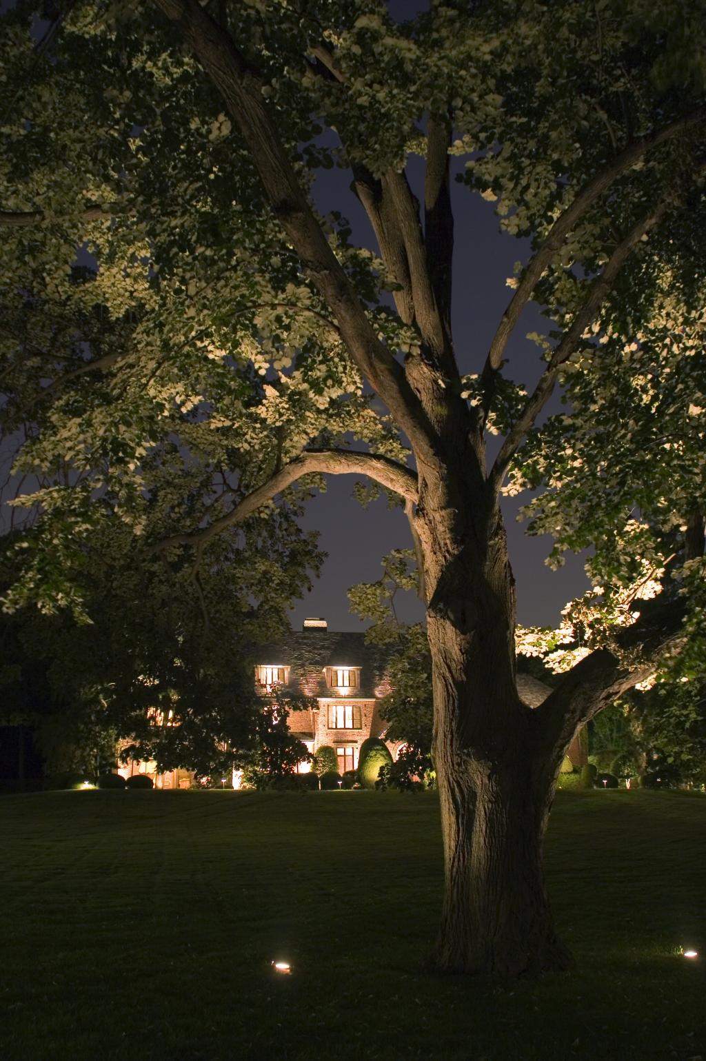 Outdoor Lighting | Landscape | Hardscape | Niemeyer's Landscape Sup...