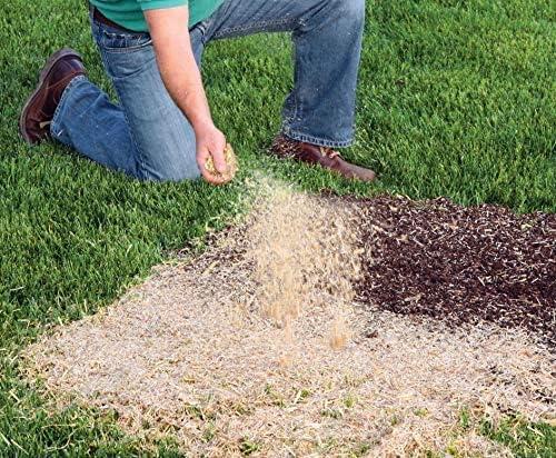 EZ Straw Mulch w/ Tackifier | Erosion Control | Lawn & Garden | Nie...