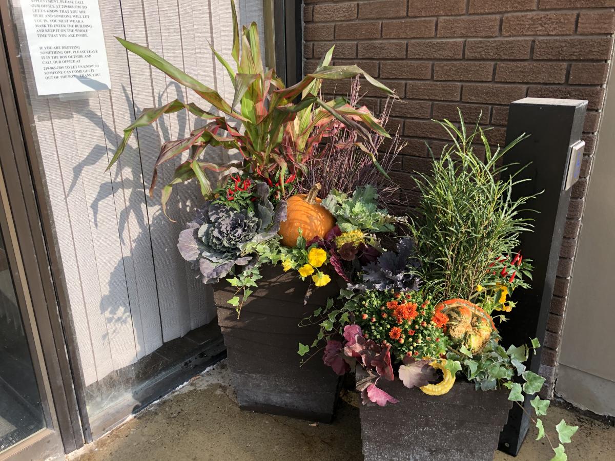 Fall Annuals | Fall Decor | Plants & Flowers | Niemeyer's Landscap...