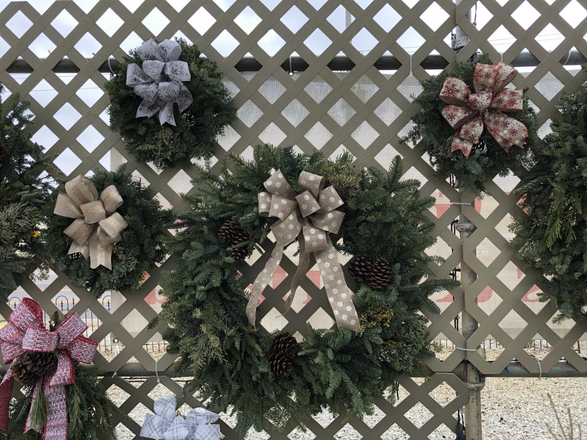 Noble Fir | Wreaths & Swags | Christmas | Plants & Flowers | Nieme...