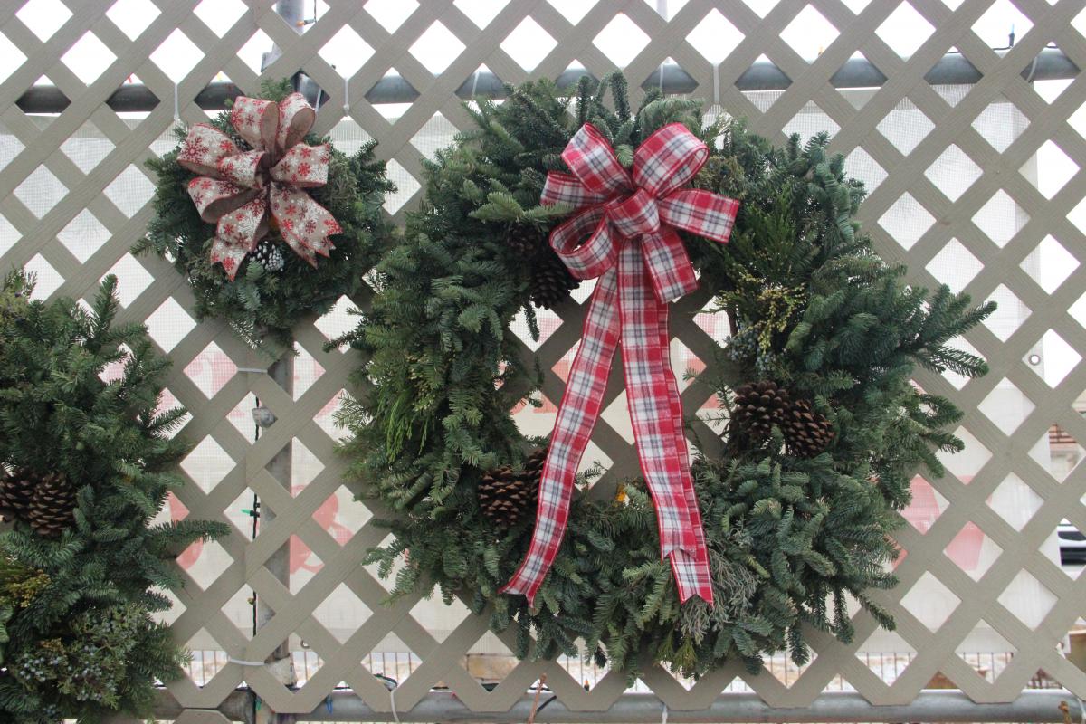 Noble Fir | Wreaths & Swags | Christmas | Plants & Flowers | Nieme...