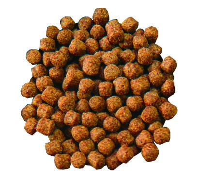 Premium Staple Fish Food Pellets | Premium Fish Food | Water Garden...