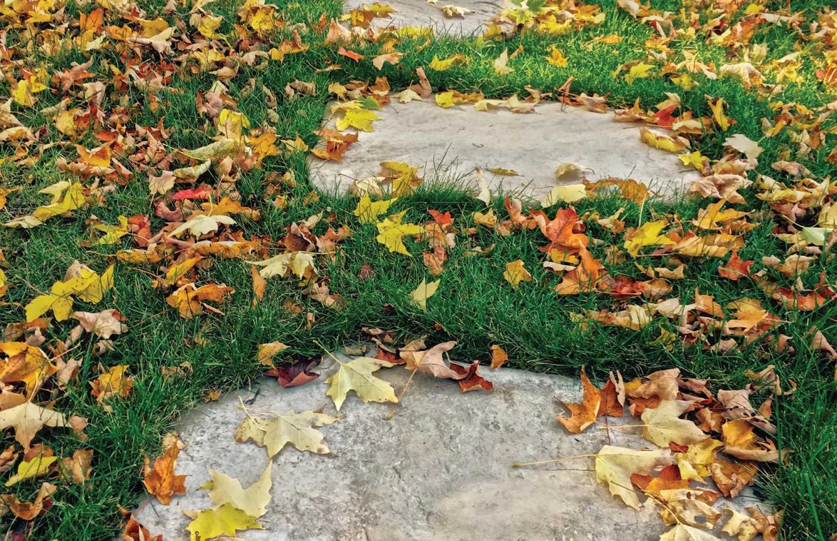 Superior Steppers | Pavers | Pavers & Retaining Walls | Niemeyer's ...