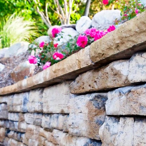 Coping | Pavers & Retaining Walls | Niemeyer's Landscape Supply ...