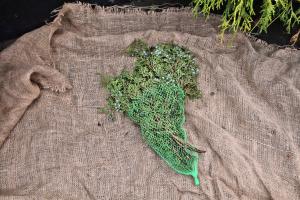 Fresh Cut Evergreens | Fresh Greenery | Christmas | Plants & Flower...